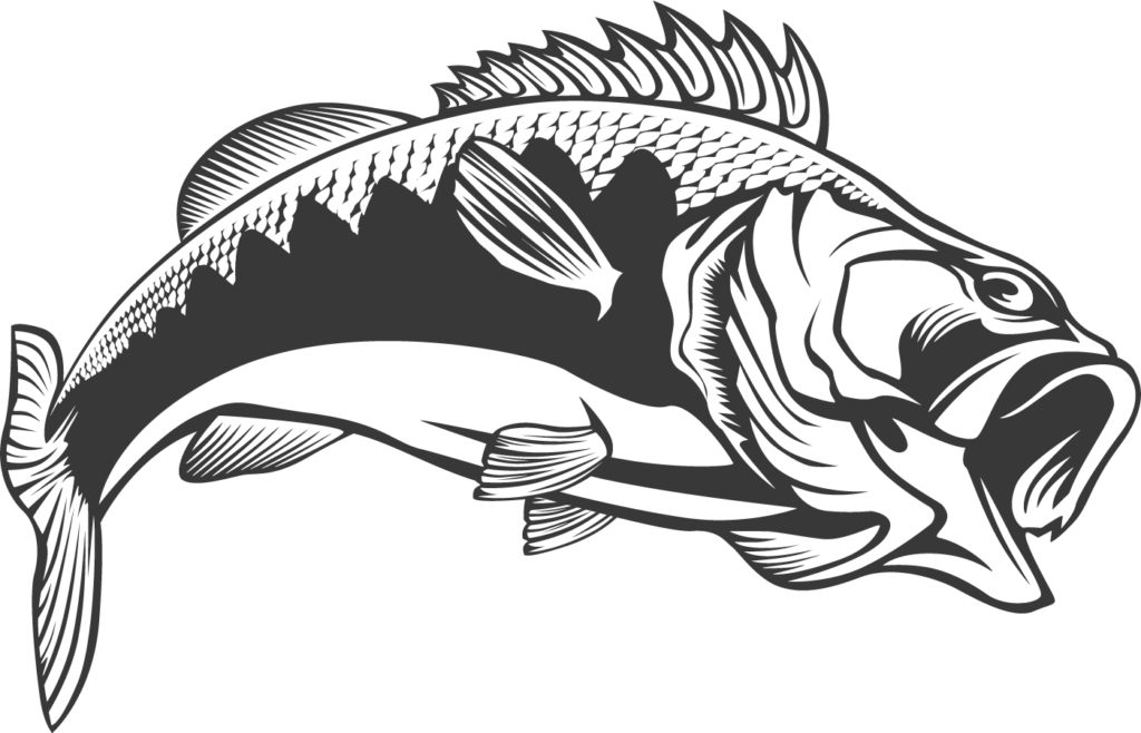 Fish Massena | Home of the #1 Fishery In The Nation | fishmassenany.com